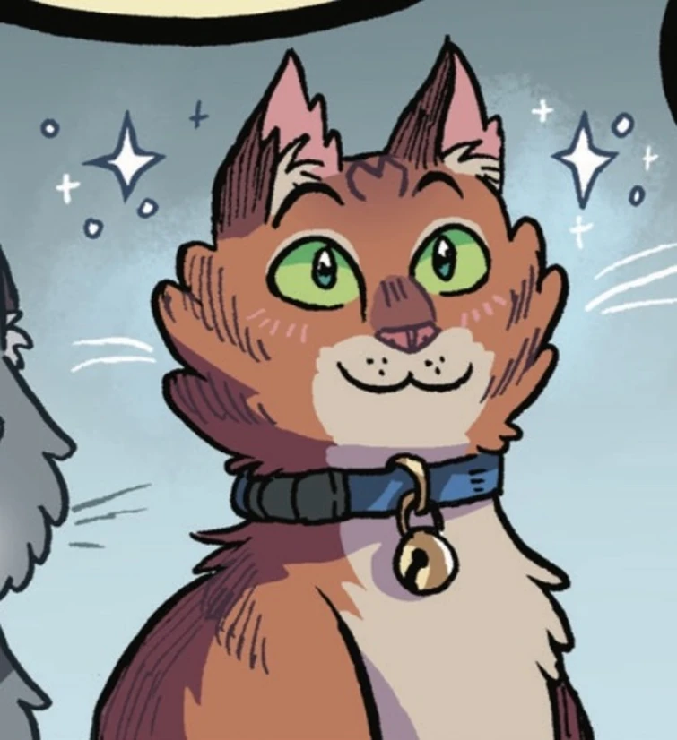 WARRIOR CATS GRAPHIC NOVEL OFFICIAL SNEAK PEAKS NOW? | Fandom