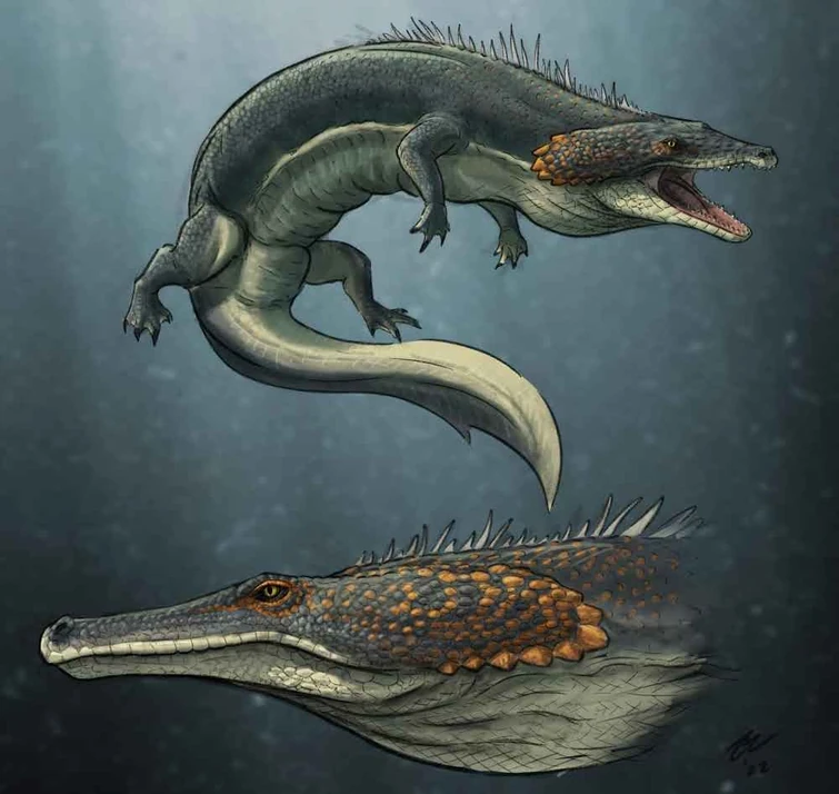 Well might as well do this | Fandom