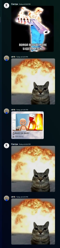 Normal conversation with my 19 y/o sister | Fandom