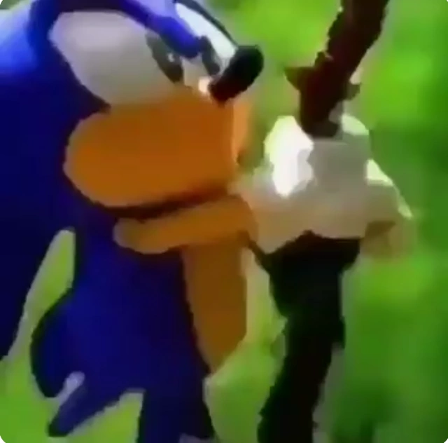 sonic memes | Fandom