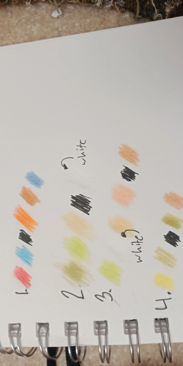 Which colour combination looks best | Fandom