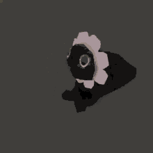 where is beta. | Fandom