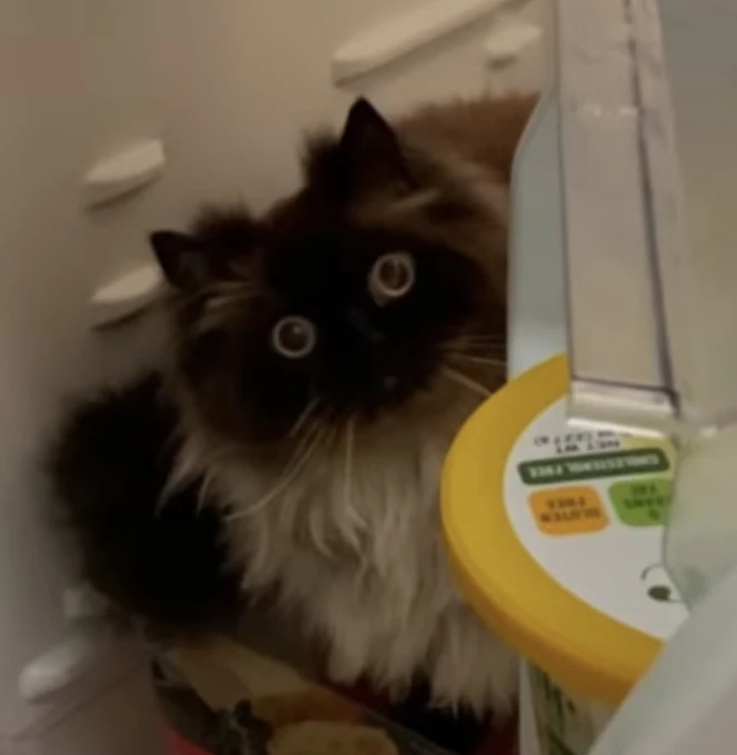 Camera roll dump | Fandom