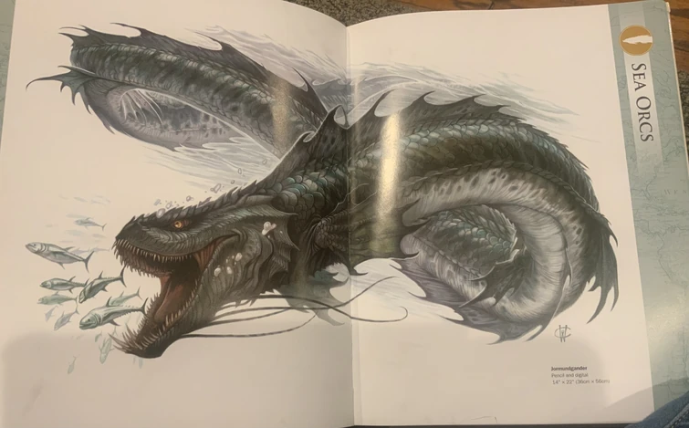 Dracopedia, sea orcs outline | Fandom