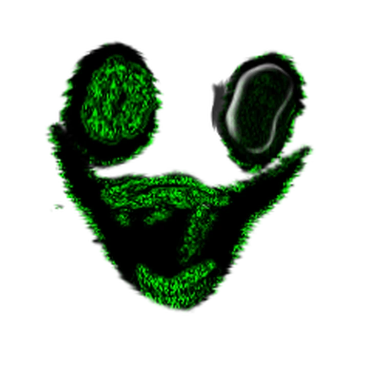 Discuss Everything About Neo's Rooms Wiki | Fandom