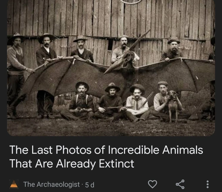 Hmm, Yes. The sad fate of the pterodactyl, hunted to extinction by ...