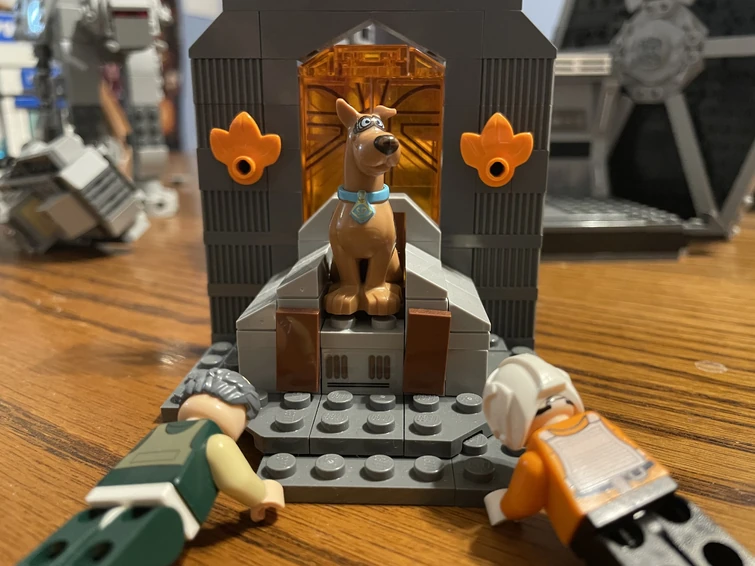 I just ran a marathon | Fandom