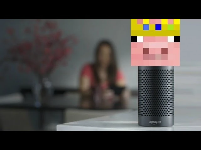 Introducing Amazon Technoblade Fandom