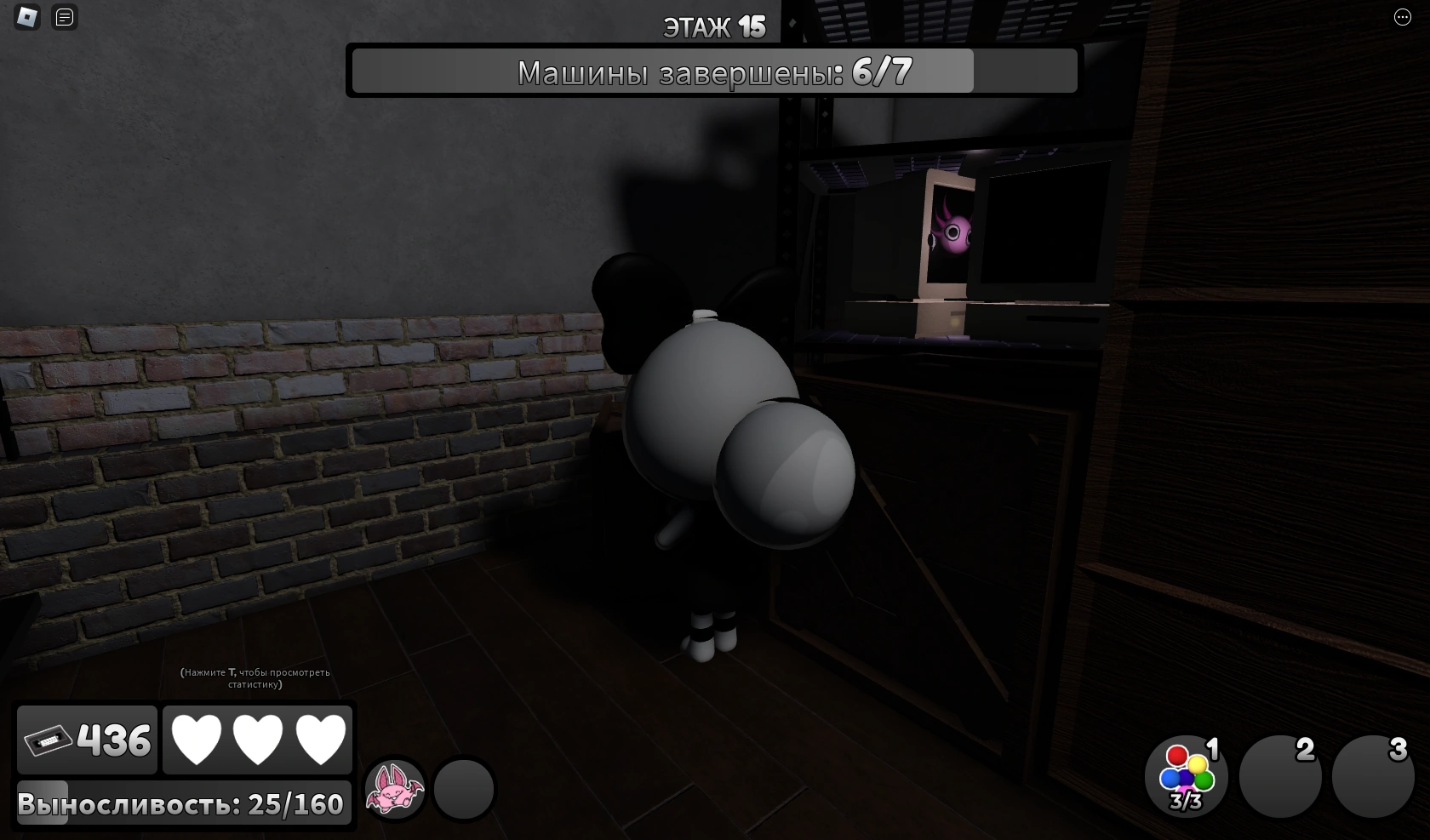 kinito pet:) | Fandom