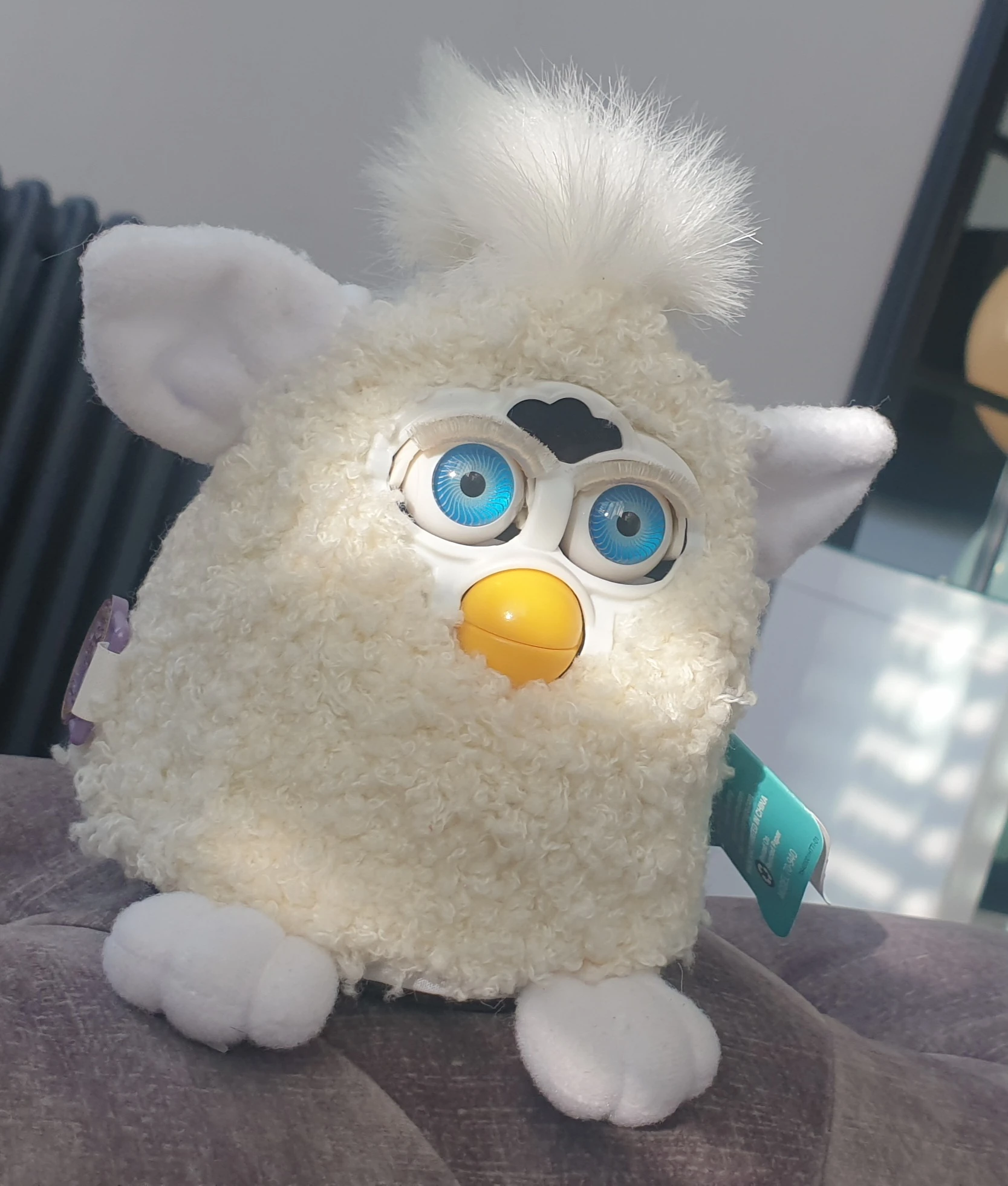 One of the furbys that I ordered came! | Fandom