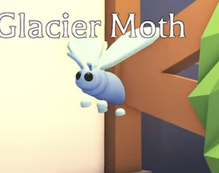 NEW PETS!! BLOODHOUND AND GLACIER MOTH! | Fandom