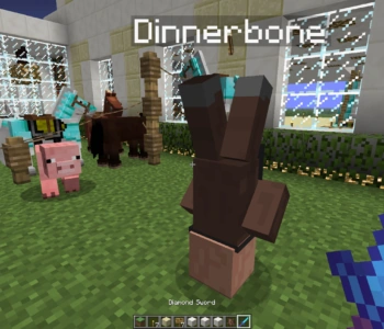 Minecraft Dinnerbone Ender Dragon