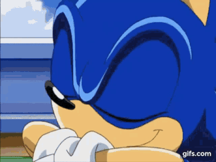 You get to spend your whole day with Sonic; how will you spend it with ...