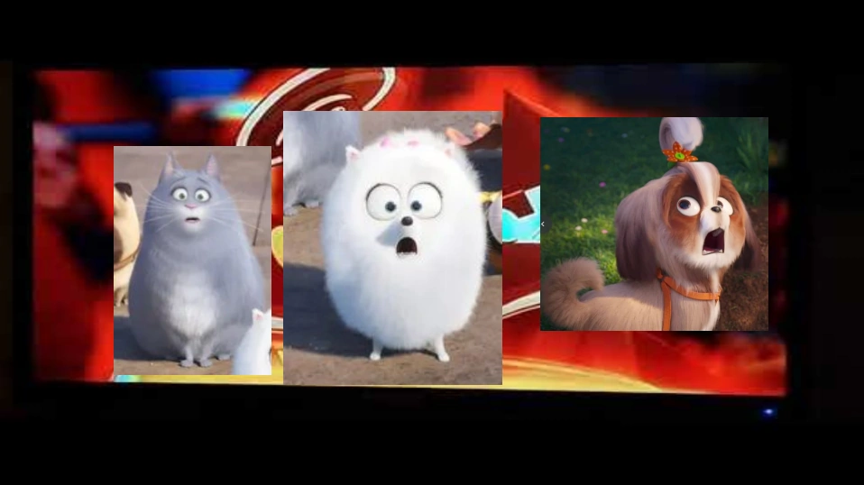 Gidget, Daisy and Chloe Gets Sent To The Internet. | Fandom