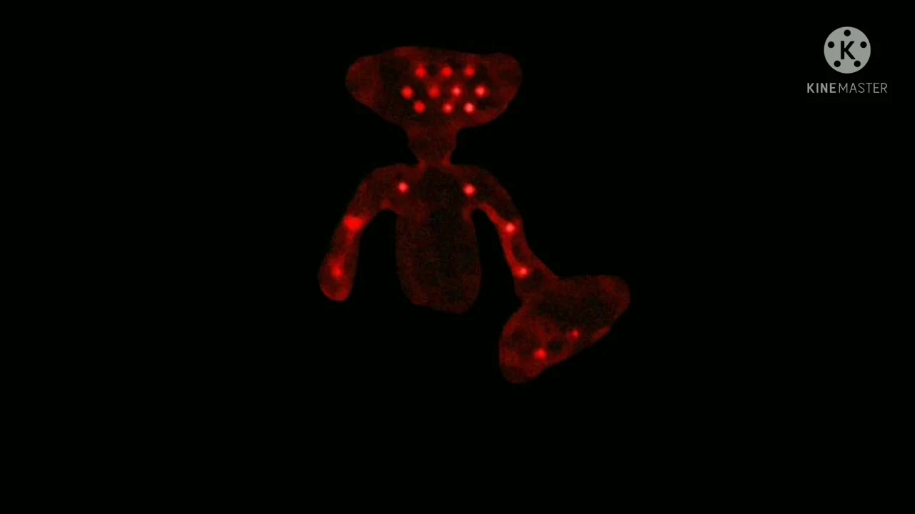 REMASTERED BEAR ALPHA RAP!!!!!!!!! | Fandom