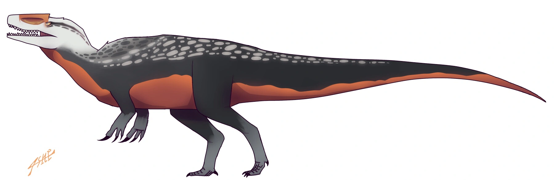 just some maip macrothorax | Fandom