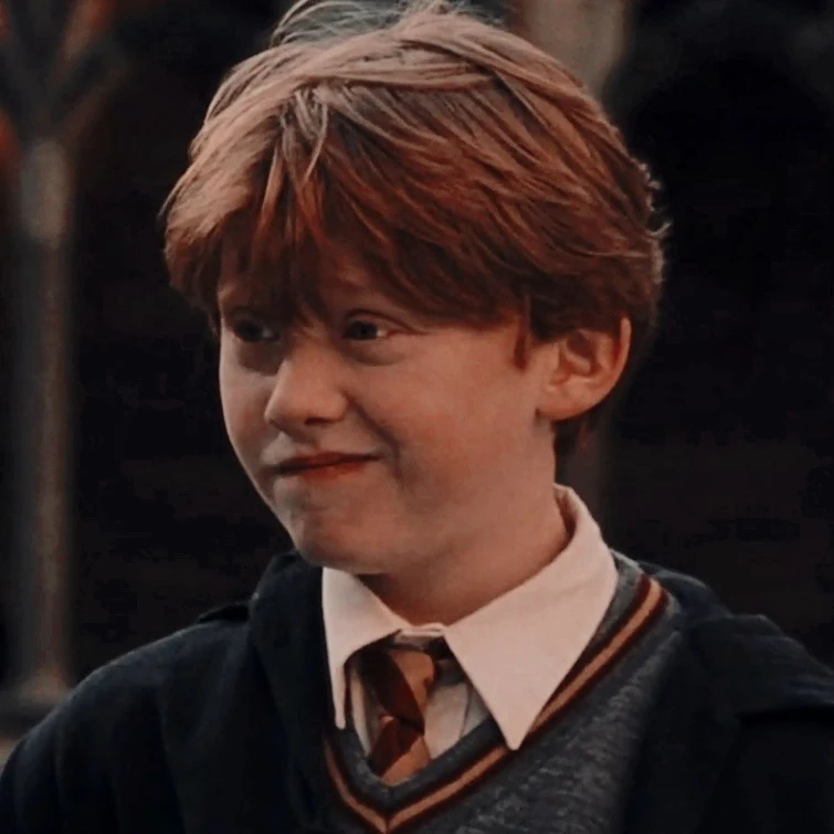 Aesthetic hp pfps for my fellow potterheads :) | Fandom