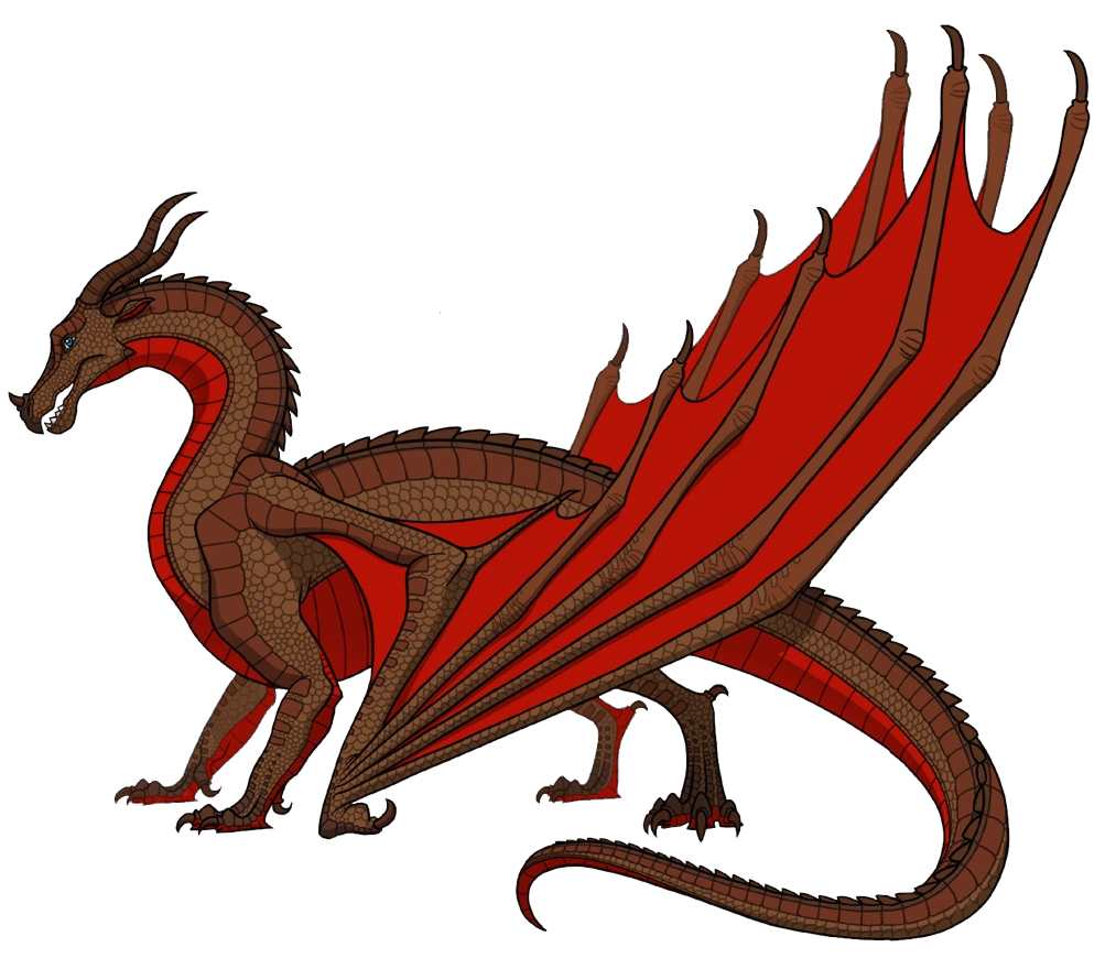 WOF the next gen | Fandom
