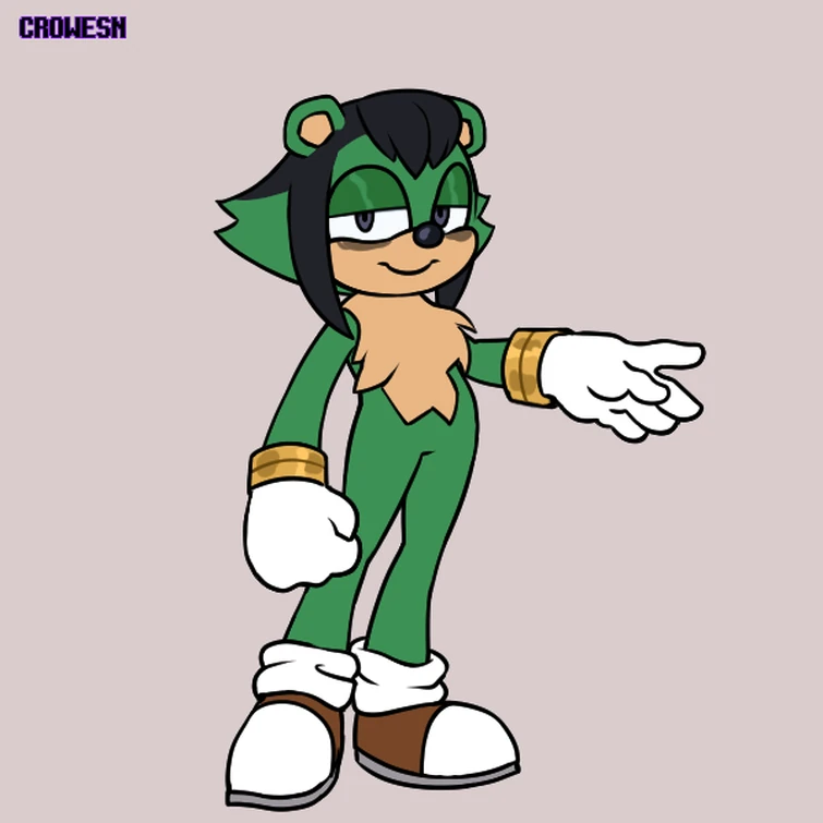 SHOW ME YOUR SONIC OCS >:D | Fandom