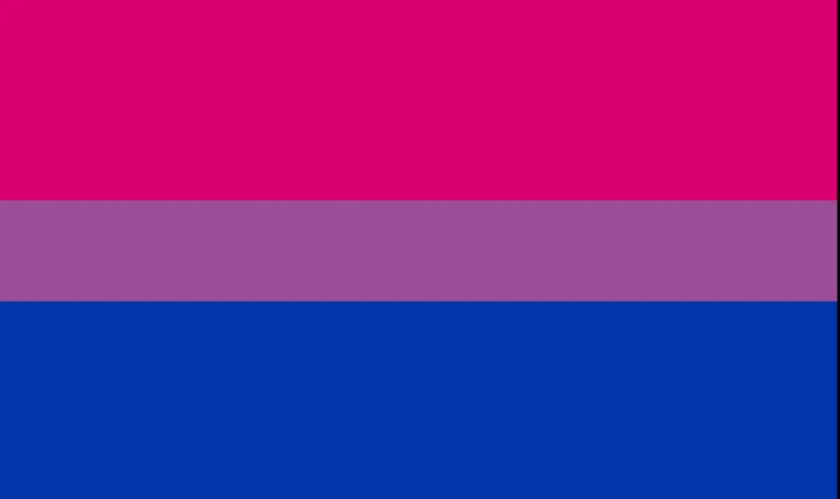 day 1 of posting the bi flag until my parents find out | Fandom
