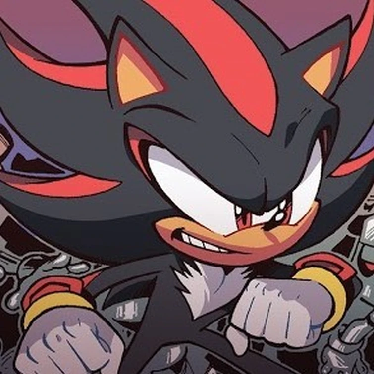 Maria Shadow The Hedgehog Crying