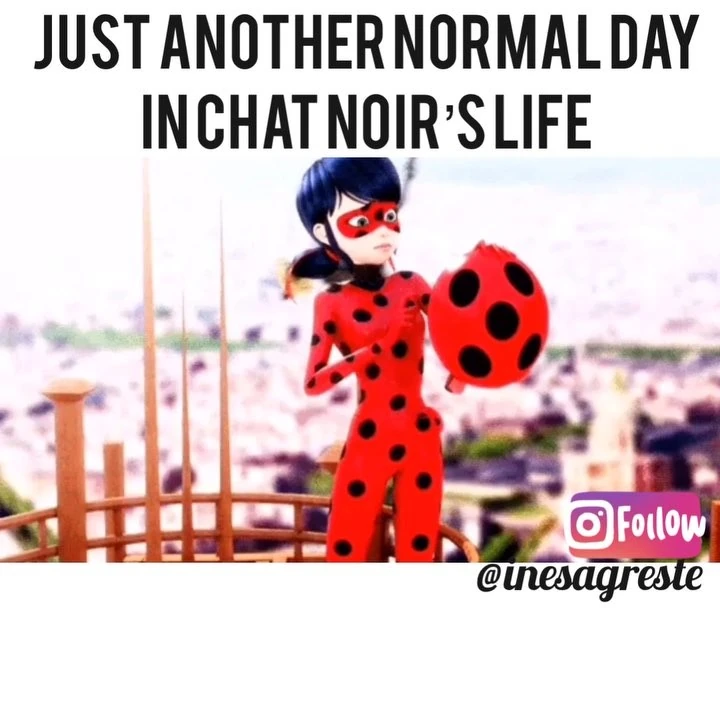 "Just a normal day" | Fandom