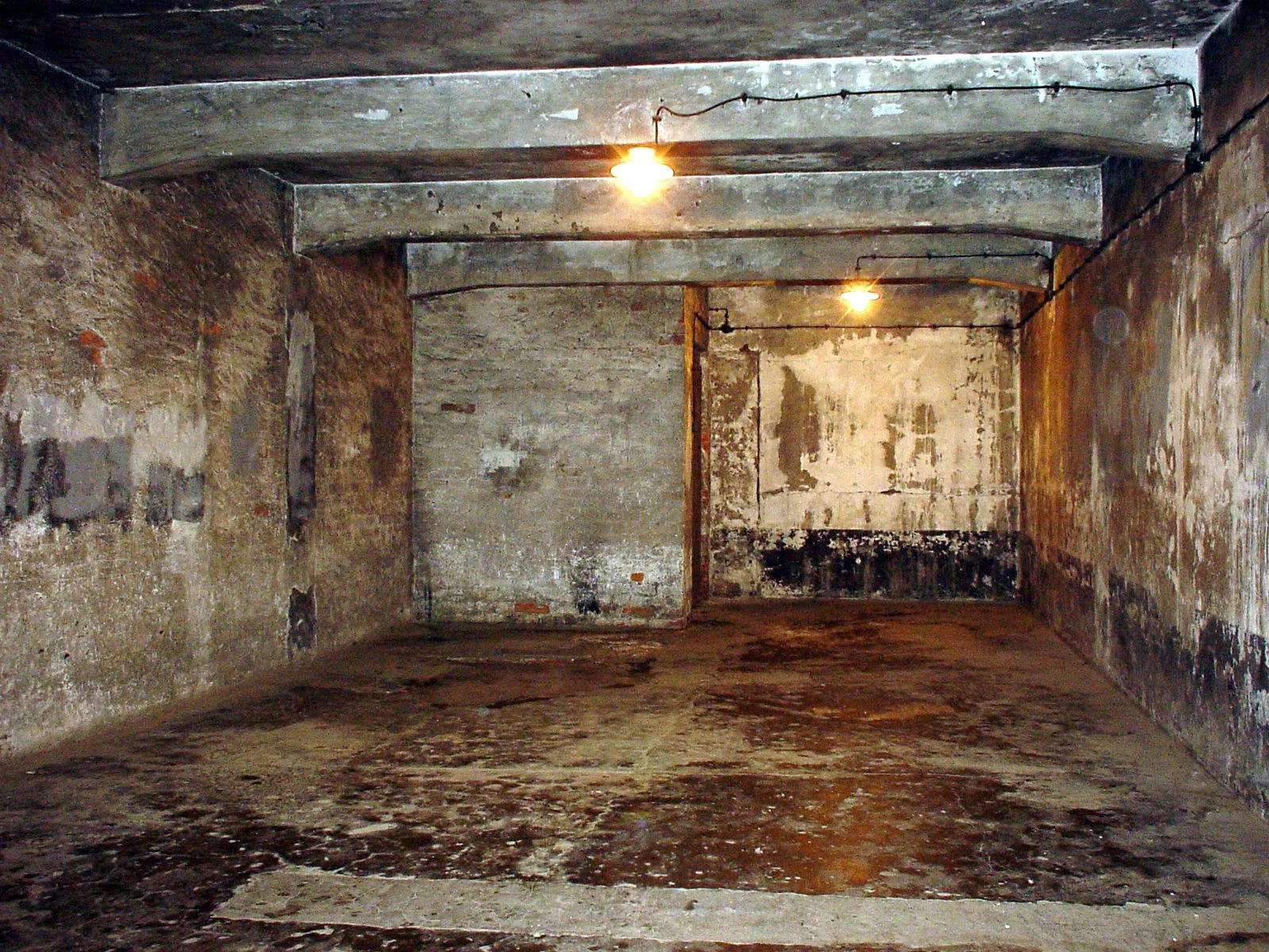 Holocaust Gas Chambers With People Inside