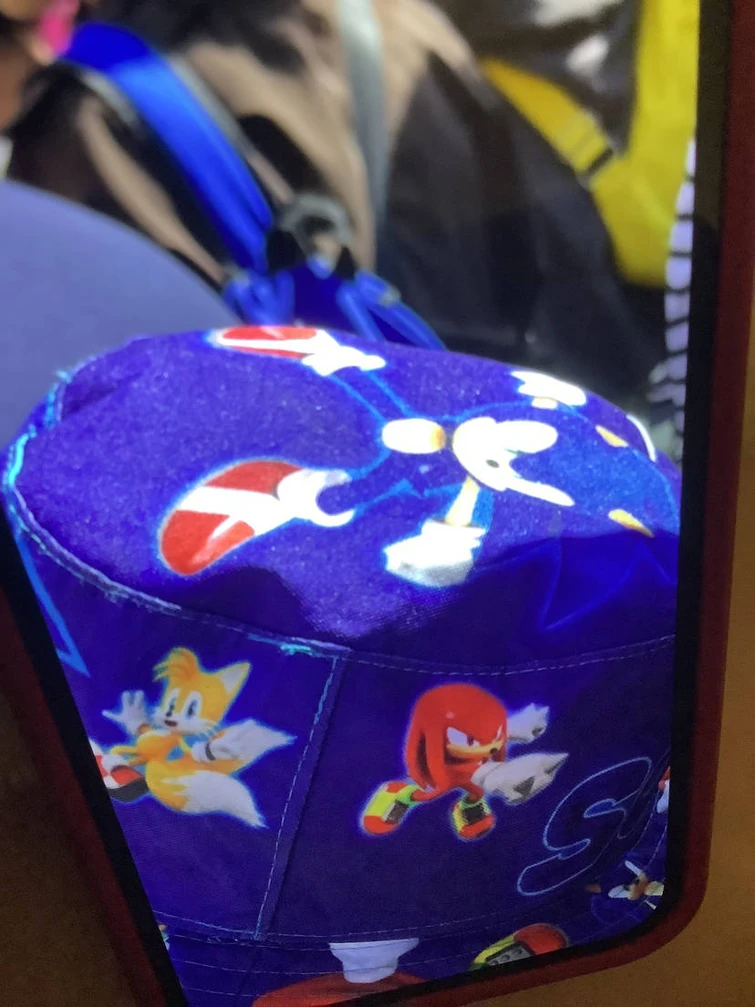 Sonic hat | Fandom