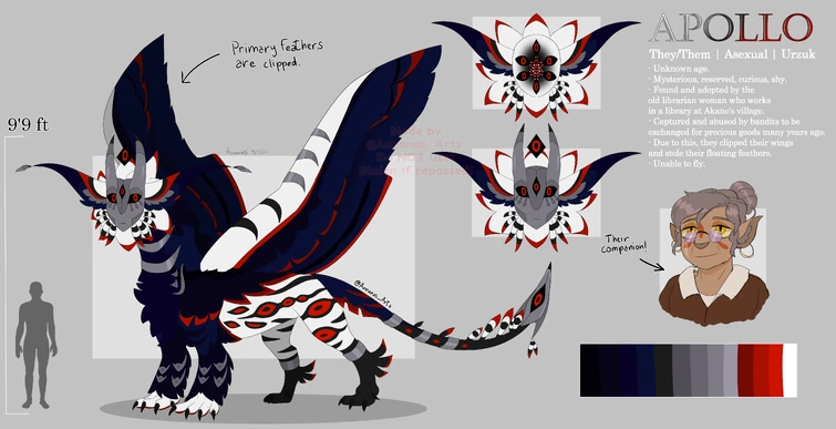 Apollo reference sheet | Fandom