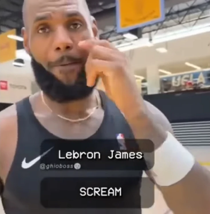 lebron | Fandom