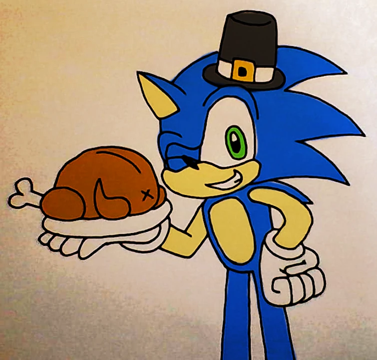 Happy Thanksgiving, Sonic fans! 💙🦃🍗 | Fandom