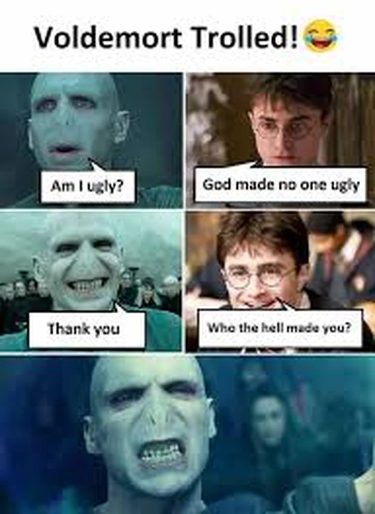 Voldemort memes | Fandom