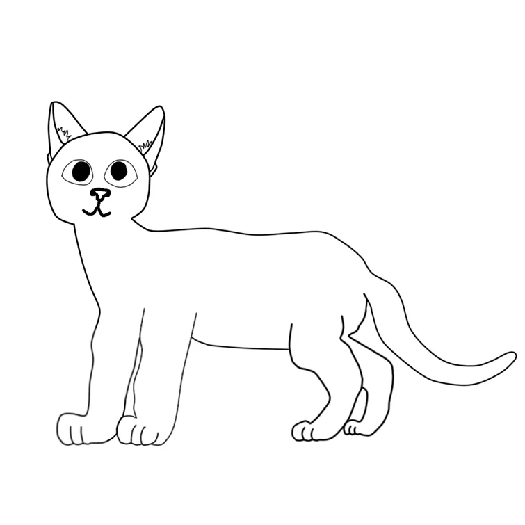Blancat | Fandom