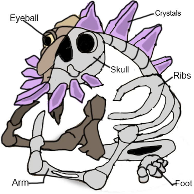 Monster Anatomy (6) | Fandom