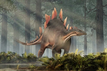 African Elephant vs Stegosaurus: which 7 ton herbivore wins? | Fandom