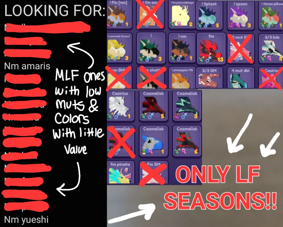 Looking for YUESHI and AMARIS! | Fandom