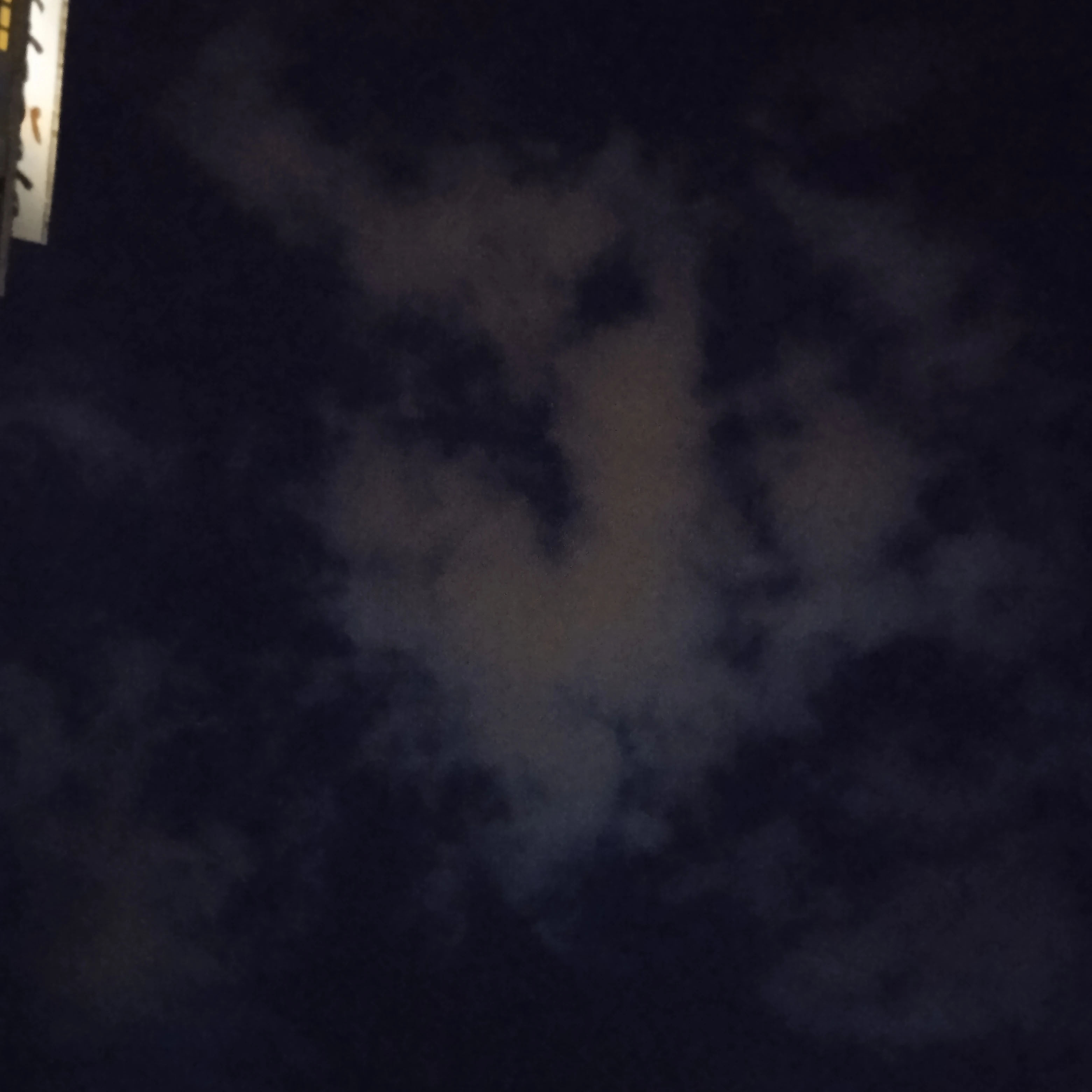 brande new rukkus sighting | Fandom