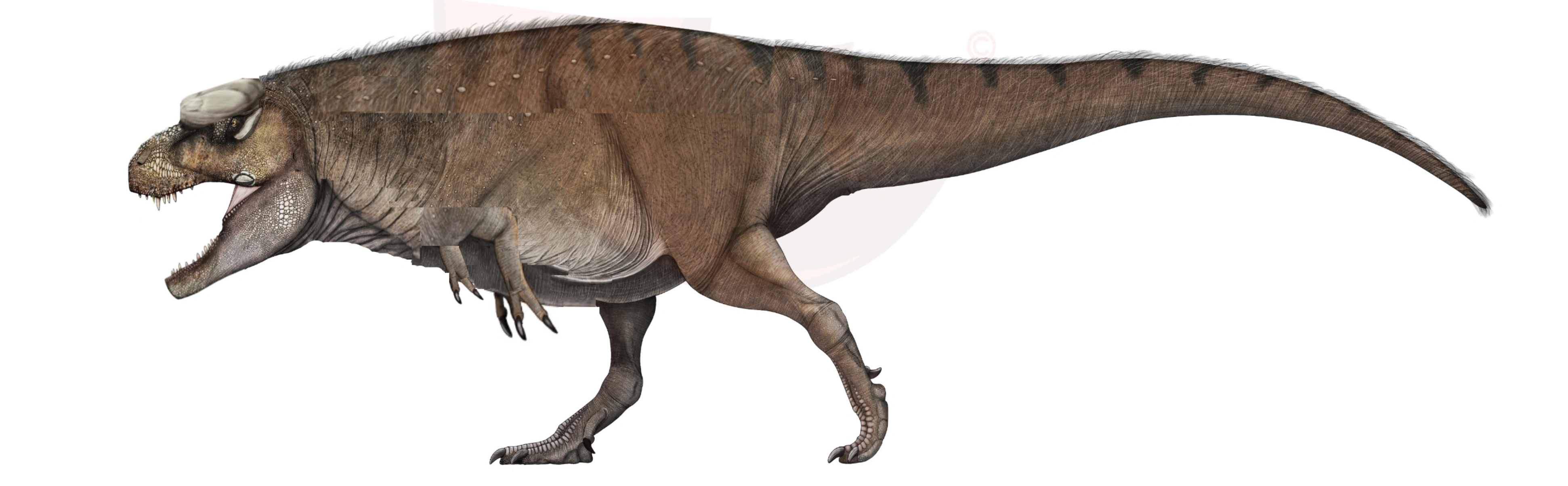 What a Distortus Rex look like in real life. | Fandom