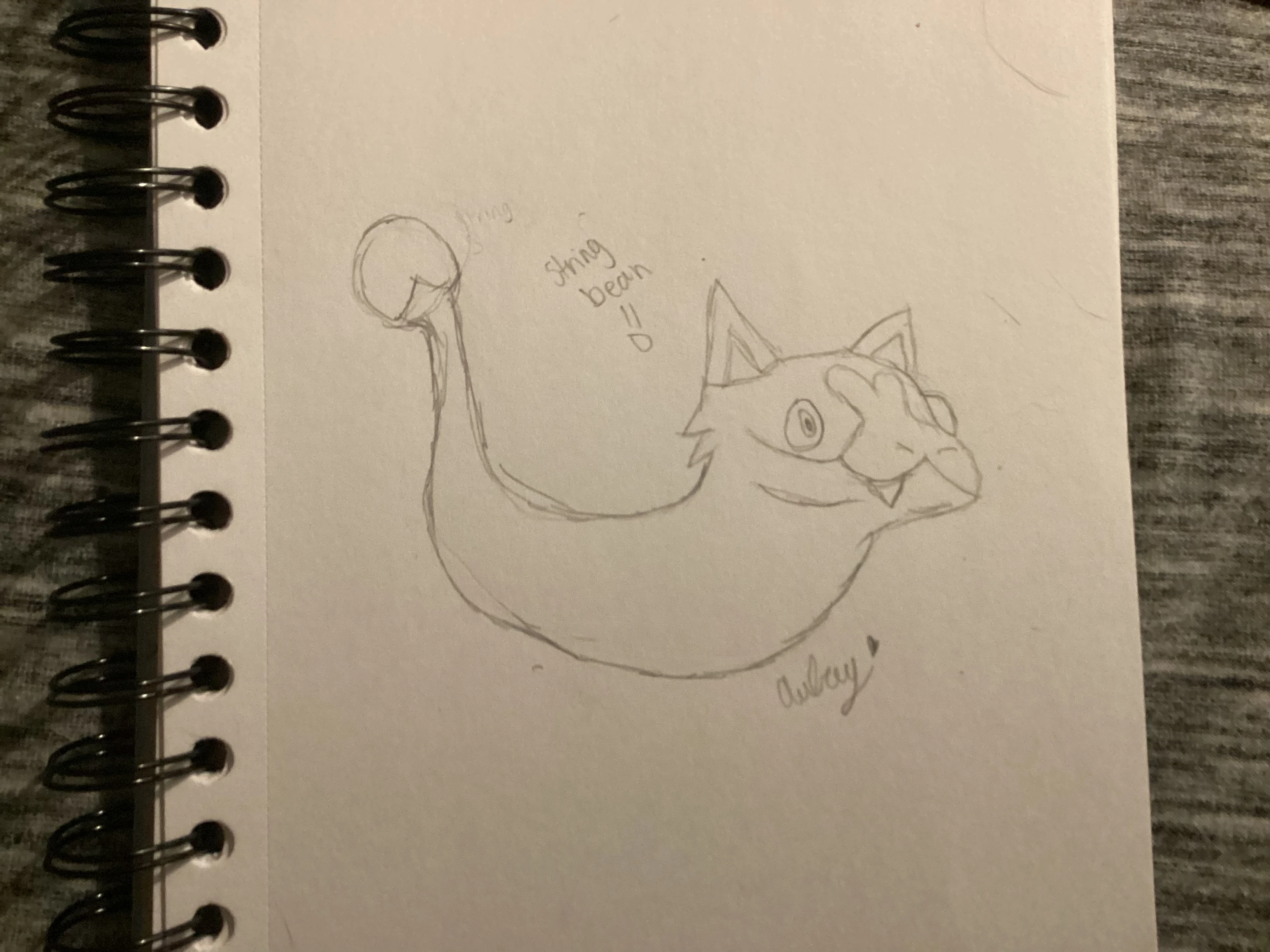 String bean ️ ️ ️ | Fandom