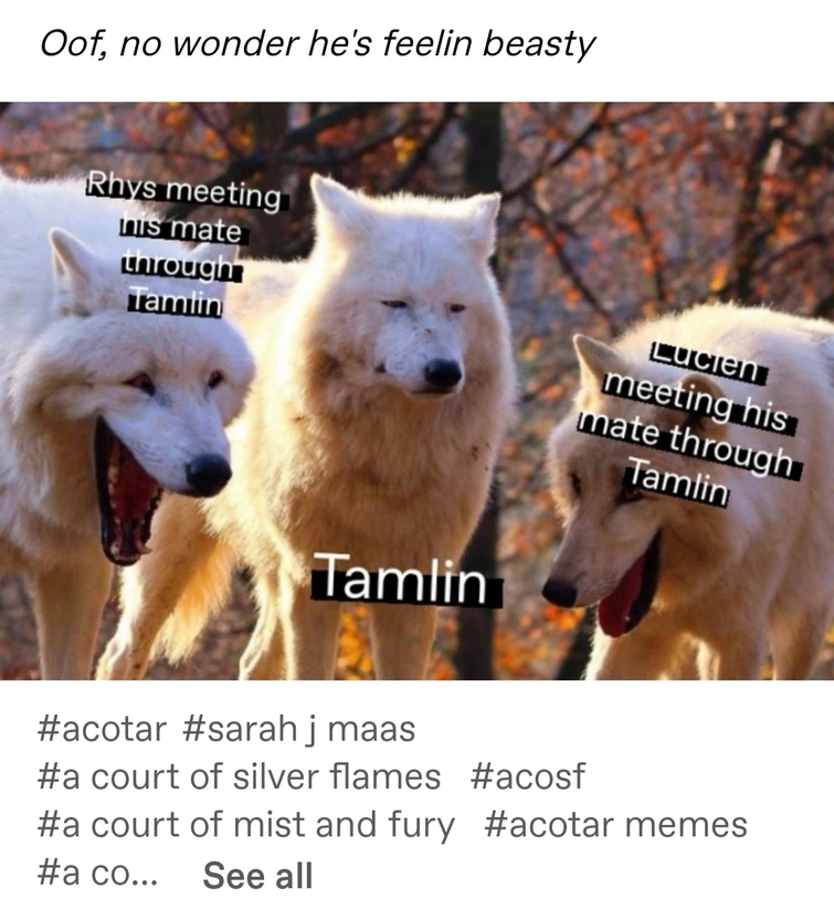 ACOTAR memes (ACOSF spoilers!) | Fandom