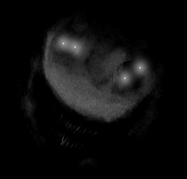 Guess the phase by the origin | Fandom