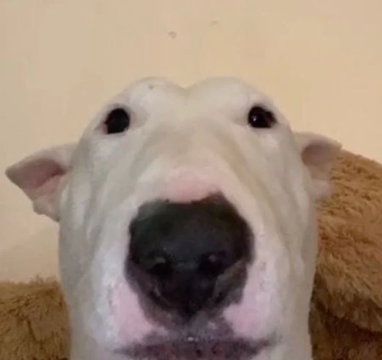 Me and Ariel are now tied in pinterest followers | Fandom