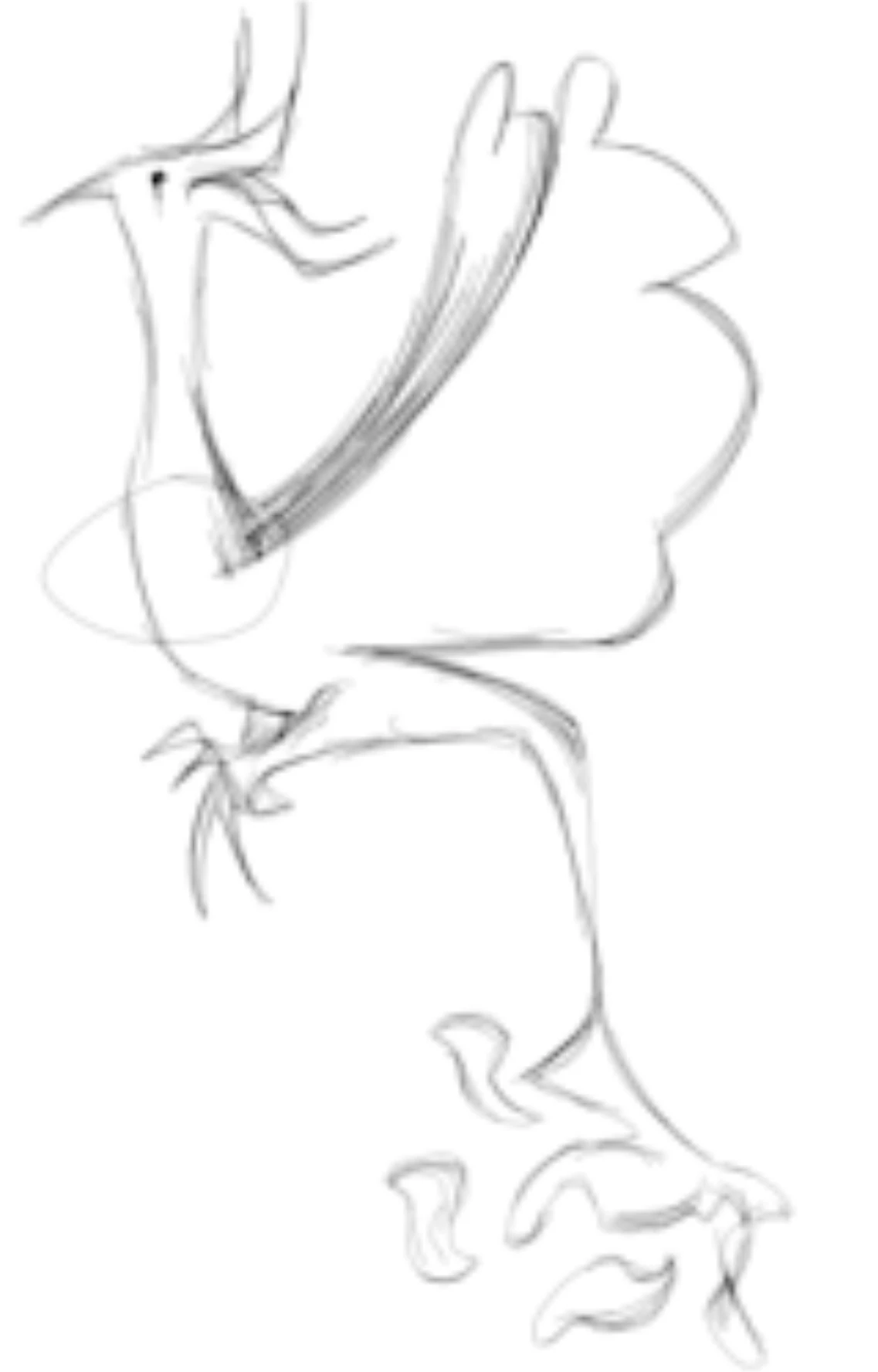 Another BORB doodle | Fandom