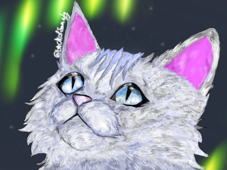 FINALLYYYYY (moon cat art) | Fandom