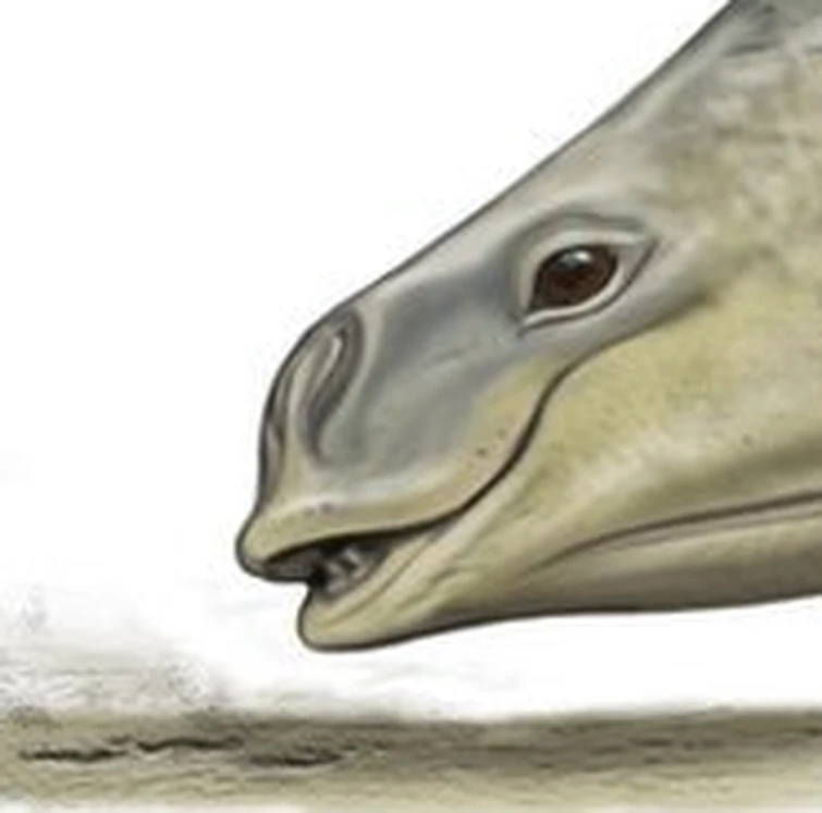 The Miocene Dolphin or the ancient derpy Baleen Whale. Which is your ...