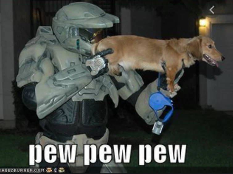 Discuss Everything About Halo Alpha | Fandom