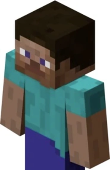 Steve VS The Terrarian | Fandom