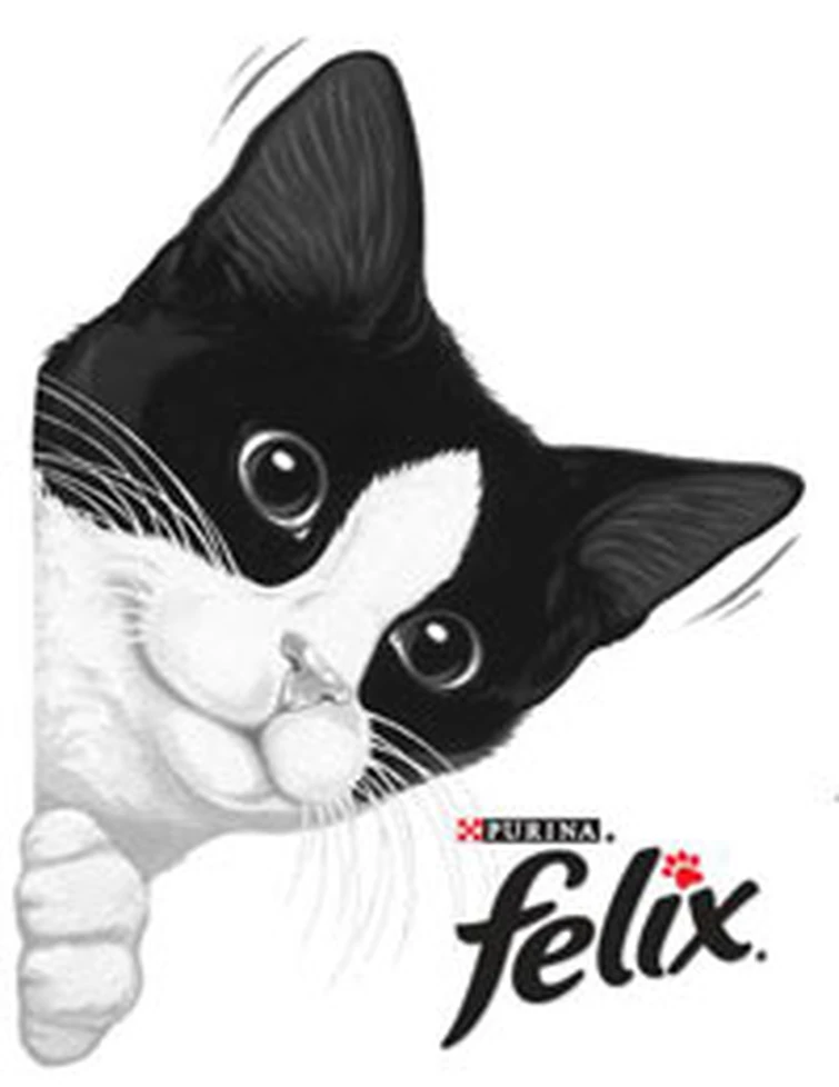 happy birthday Félix! (late) | Fandom