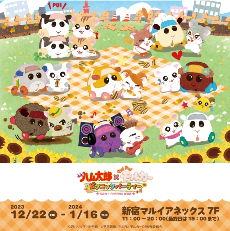 Discuss Everything About The Hamtaro Wiki | Fandom