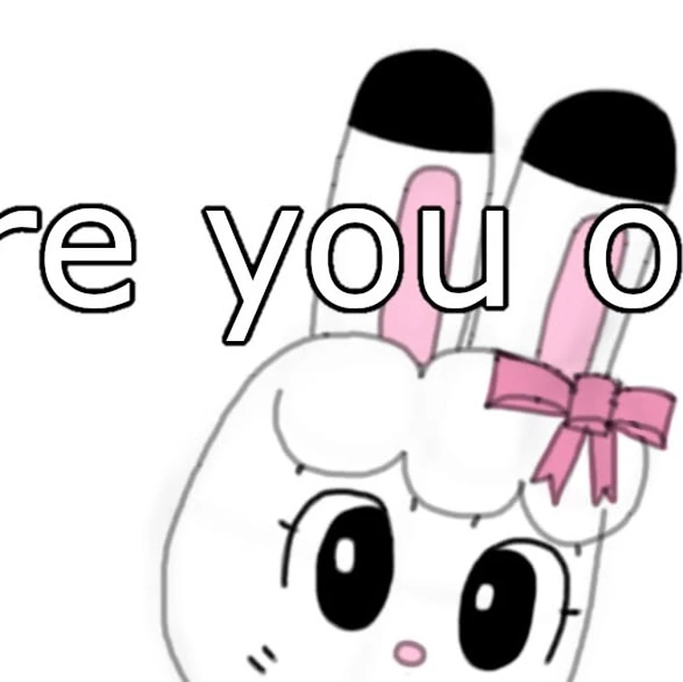 Discuss Everything About Shimajiro Wiki | Fandom